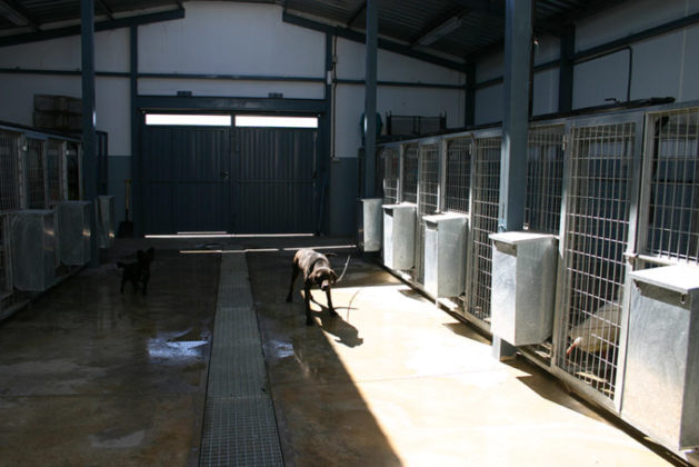 Se aprueba una partida de 5.000 euros para reformar la perrera municipal