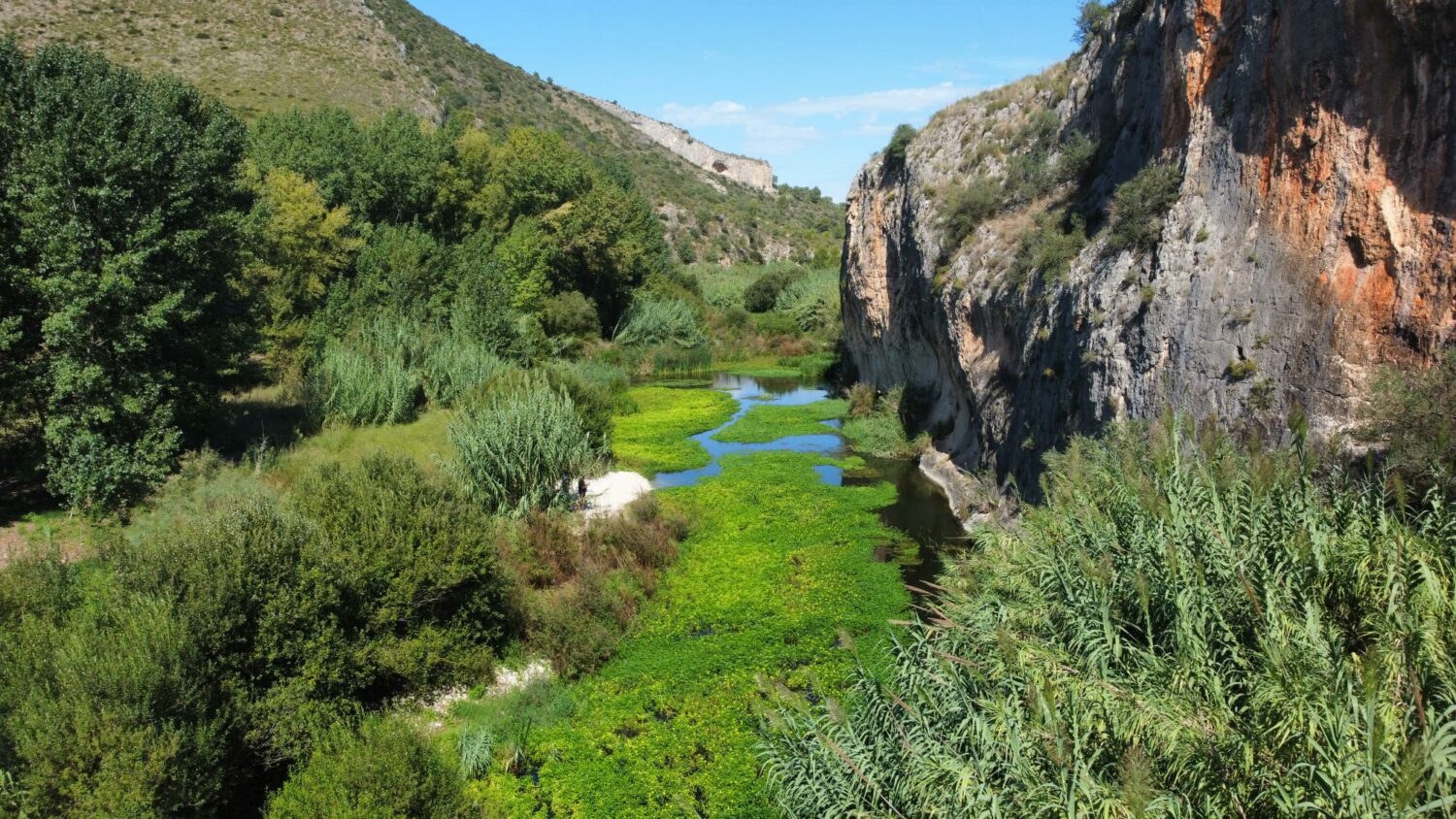 Explora la naturaleza con ANIDA: Una aventura en el Valle de Albaida